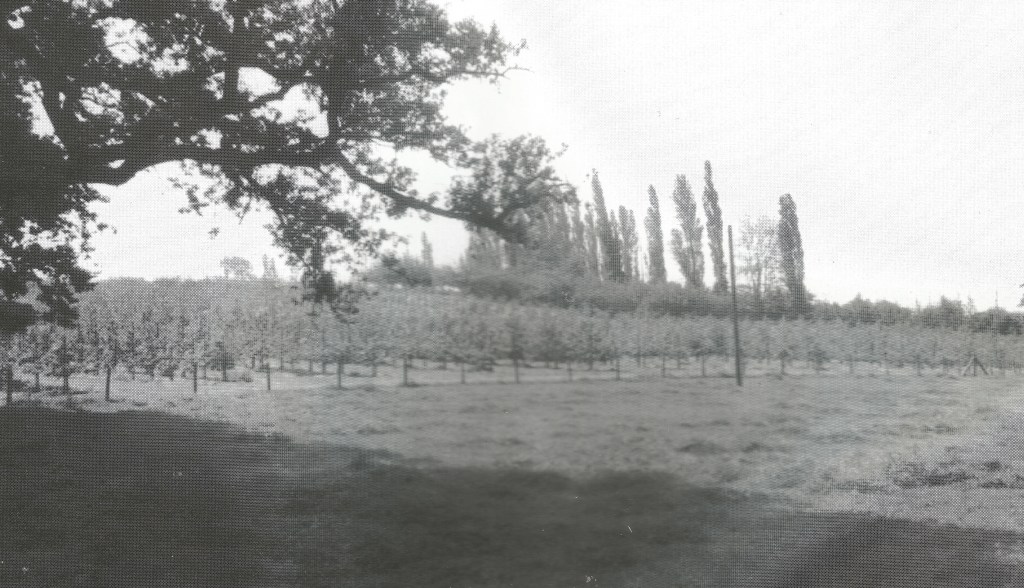 The Story of Heyford: Heyford Hills Fruit Farm V1C9 – The Nether ...